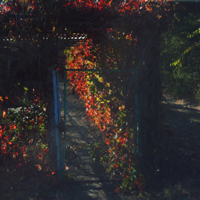 Revival Pill That I Used To Accept (EP) | Still Thinking of Mercury