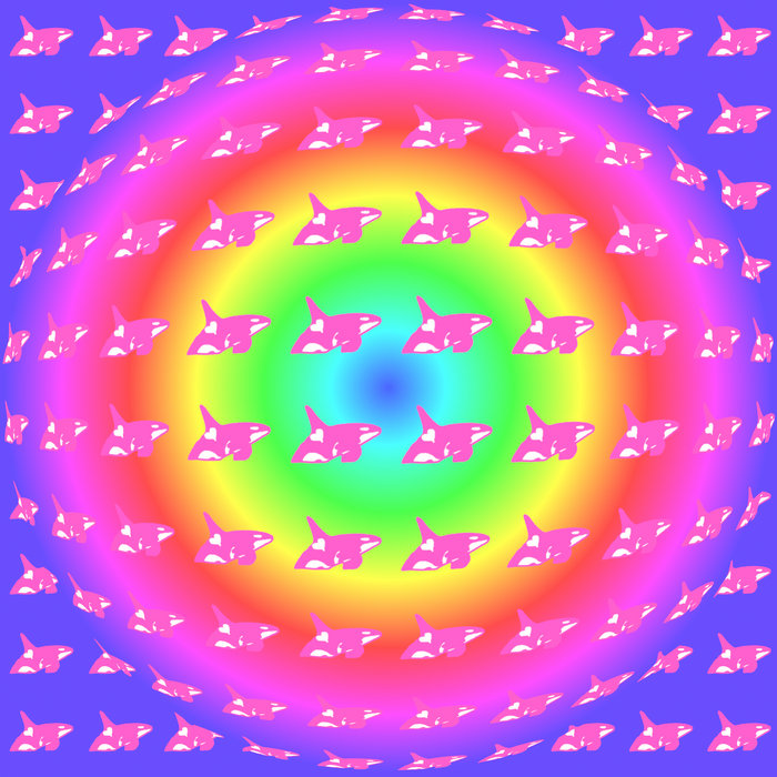 Don't Ask | Pink Orca