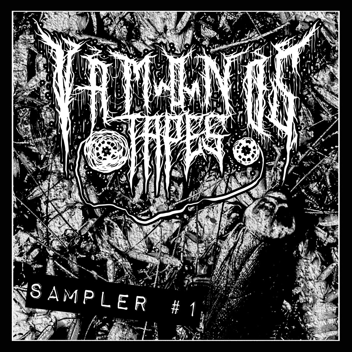 Vamonos Sampler #1 | Vamonos Records