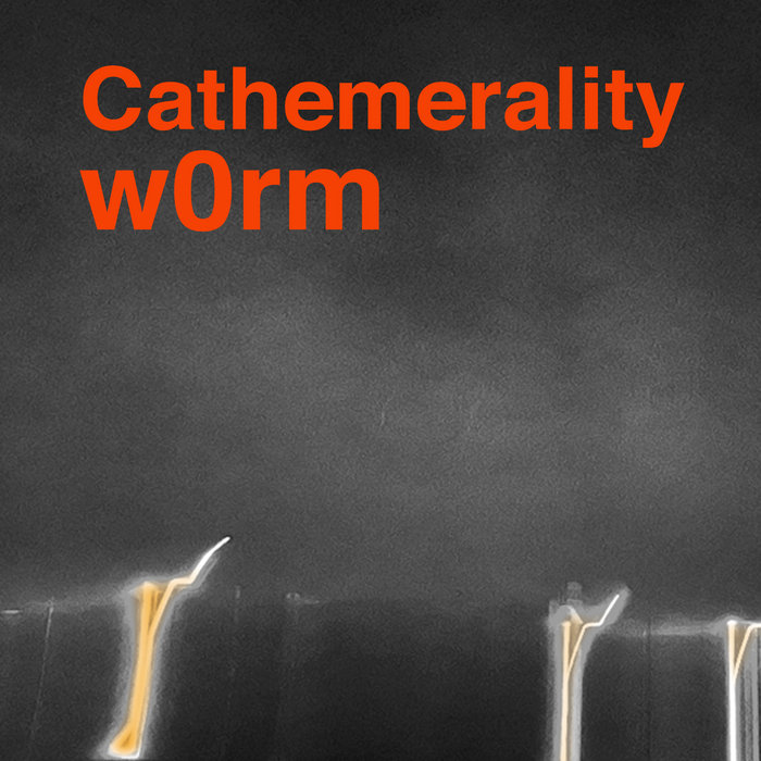 Cathemerality | w0rm
