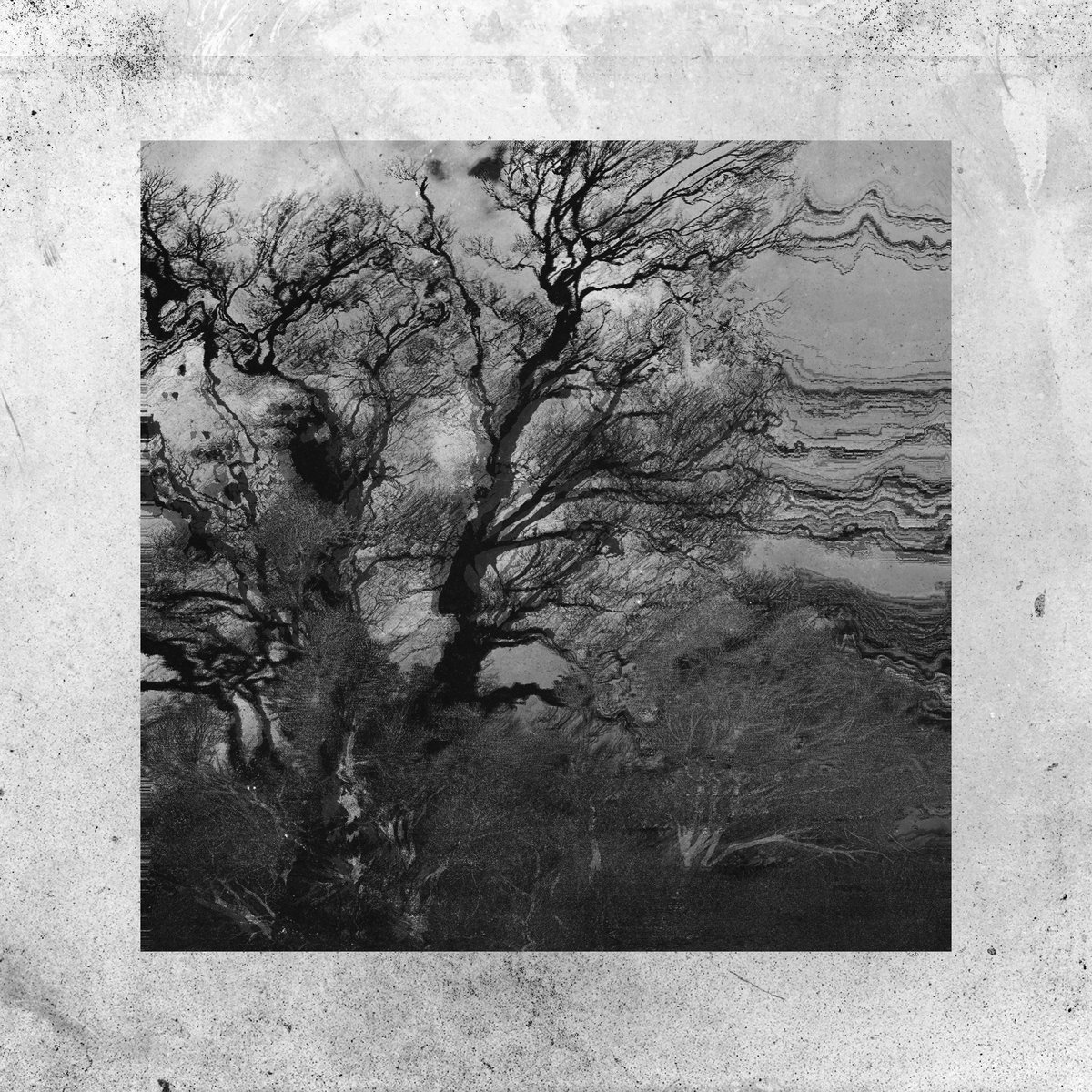 Gǔ Chán Yuán Juān I | Various | GSXS