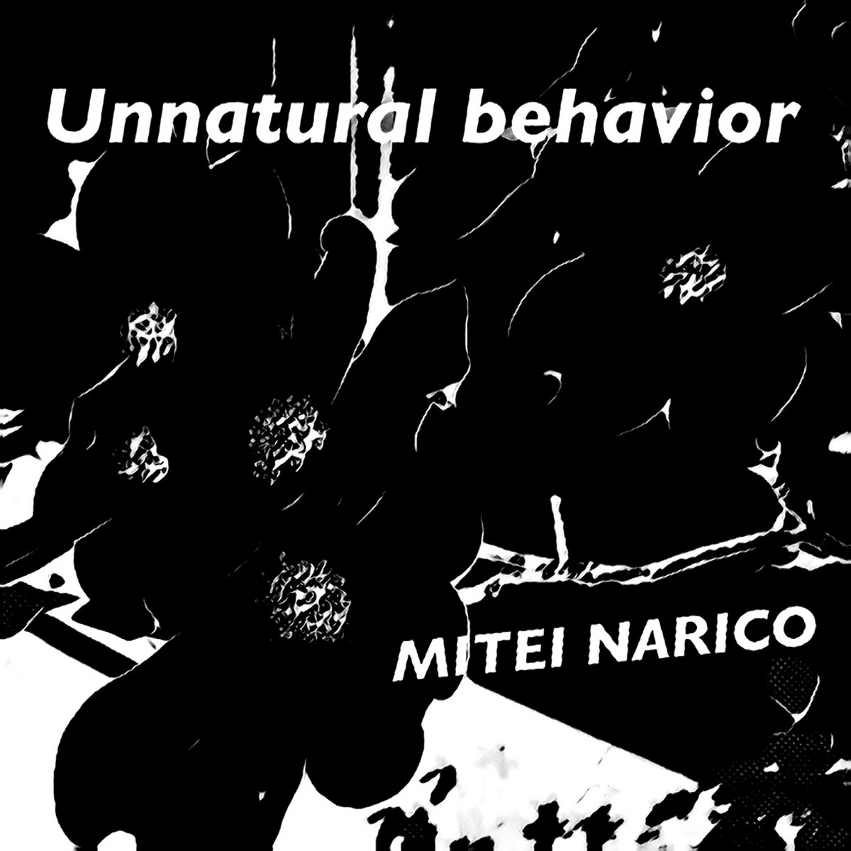 Unnatural behavior | MITEI NARICO
