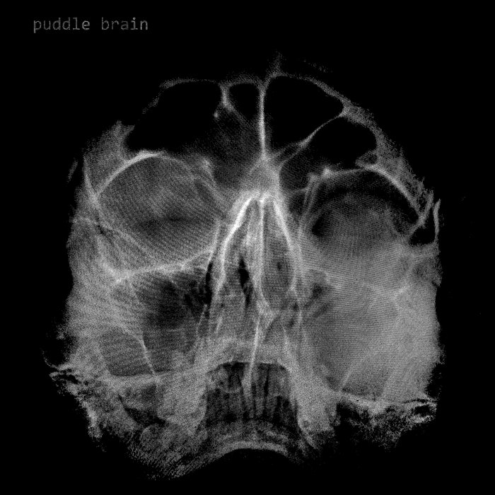 Puddle Brain | Puddle Brain