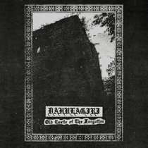 Lost Mountain Pathways | Coniferous Myst