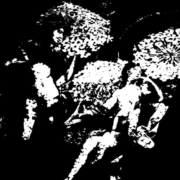 kindness | Thaniel Ion Lee