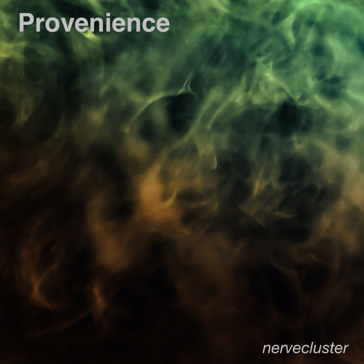 Provenience | Nervecluster