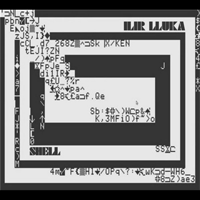 Shell | Ilir Lluka