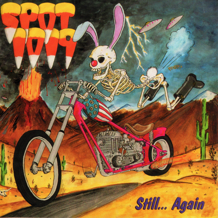 Still...Again | Spot 1019