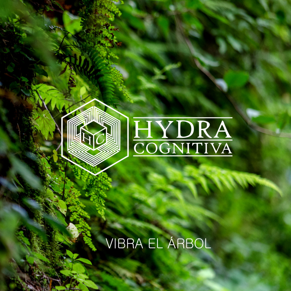 Vibra el Árbol | Hydra Cognitiva