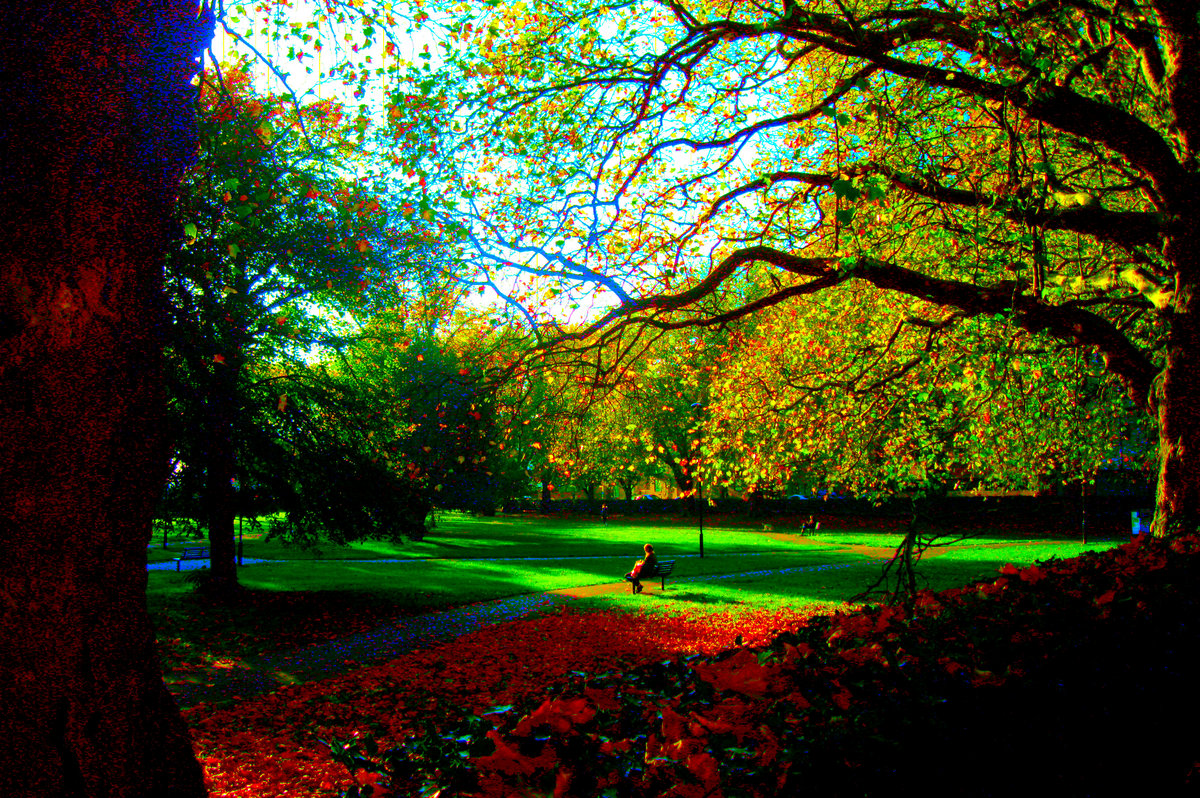 simple dances for a final sunny afternoon in the park where the ...