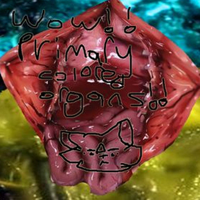 WOWEE!! PRIMARY COLORED ORGANS!! | Corpsemuncher | Enegydrink