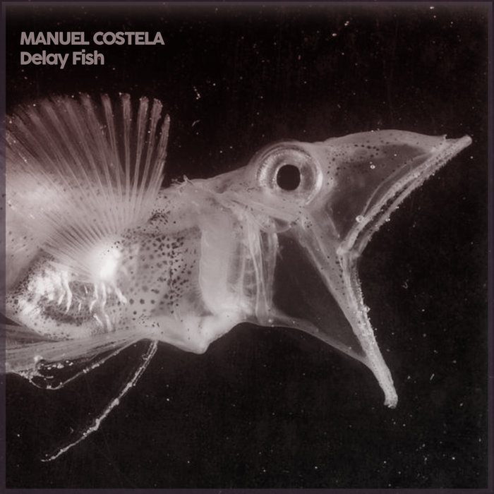Delay Fish (FREE DOWNLOAD) | Manuel Costela | Manuel Costela ...