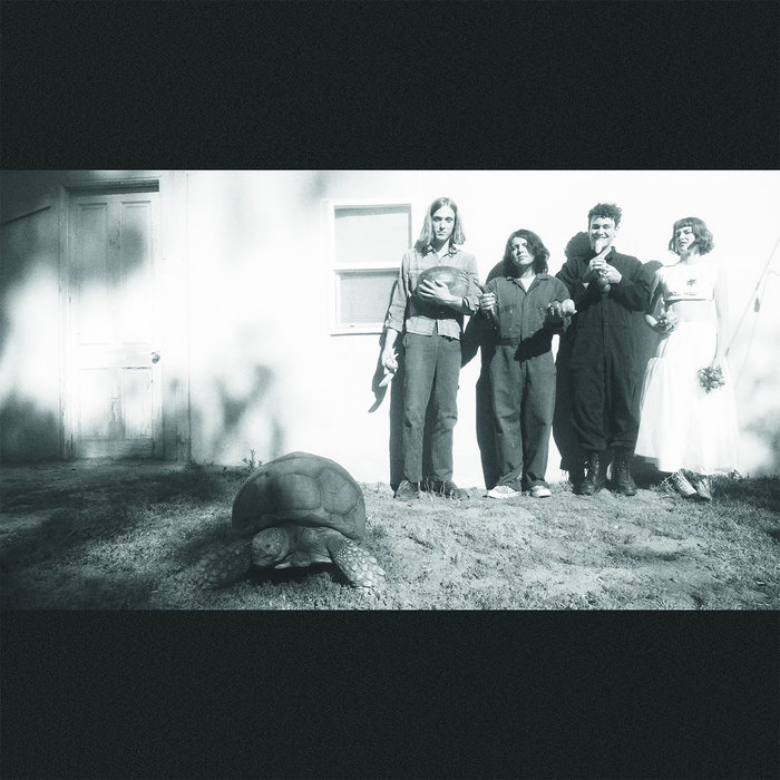 Fish Casper's Youngest Songs | Fish Casper