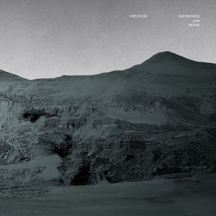 Destroyers of the Moon | owlfood