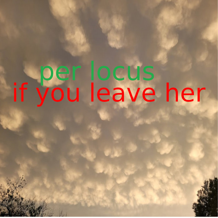 If You Leave her | Per Locus