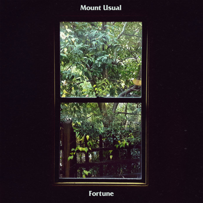 Fortune | Mount Usual