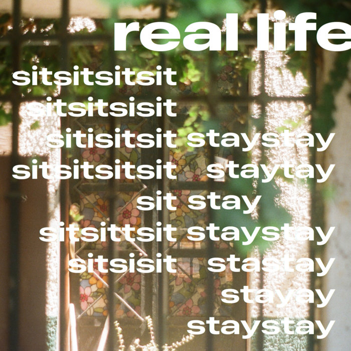 real life | sit stay