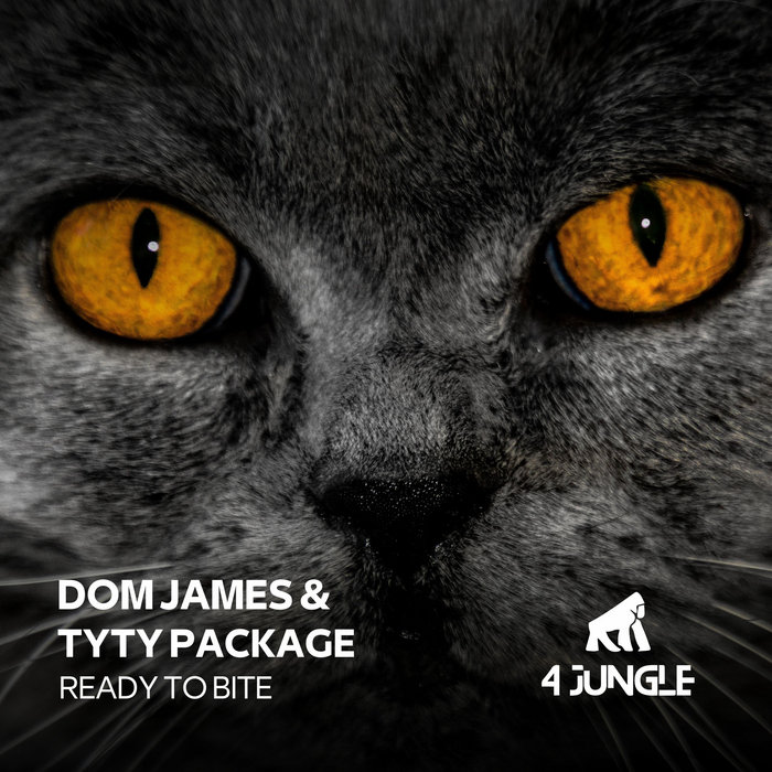 Ready To Bite | Dom James, Tyty Package | DNBB Records