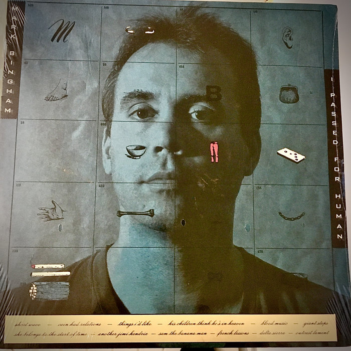 I PASSED FOR HUMAN | mark bingham