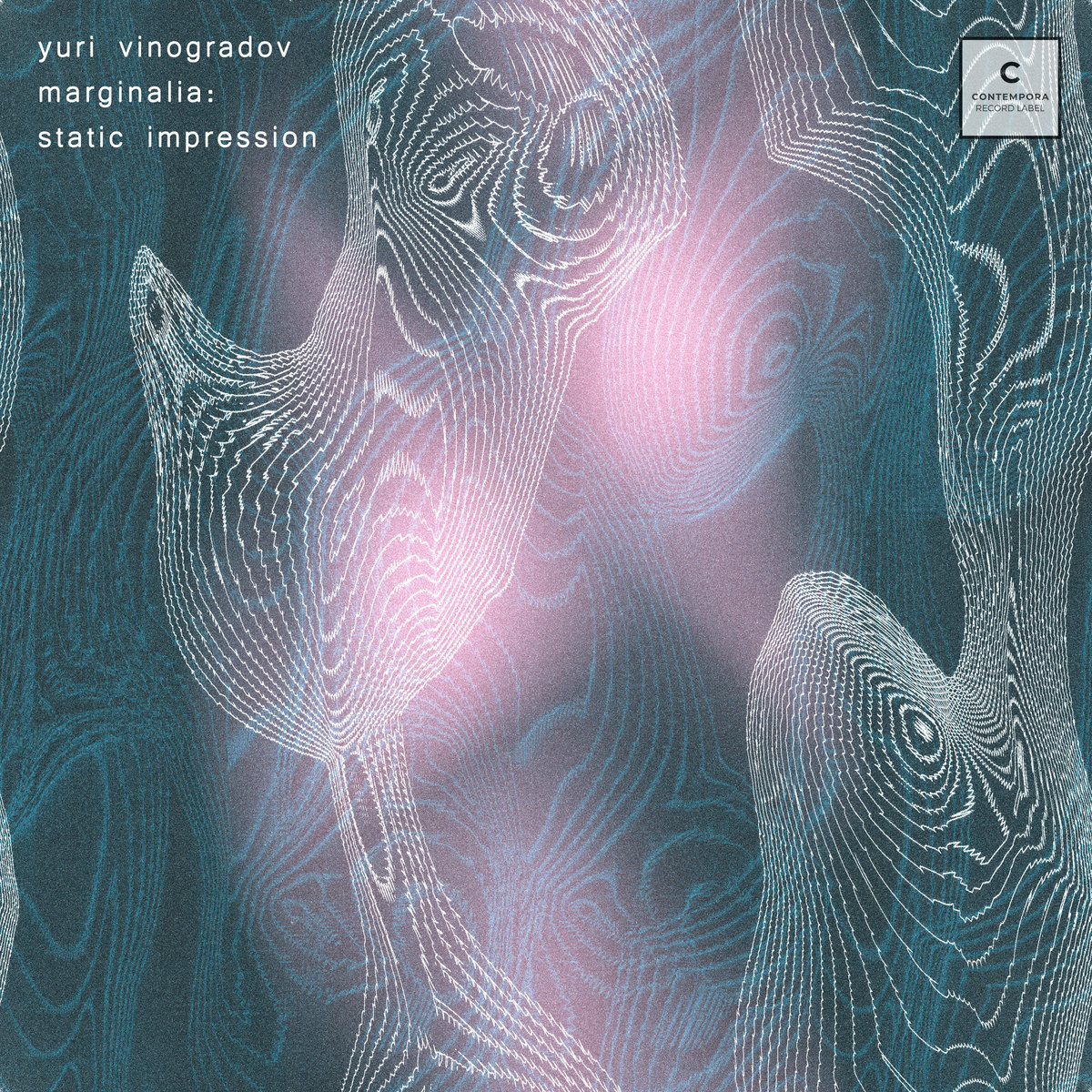 Marginalia: Static Impression | Yuri Vinogradov