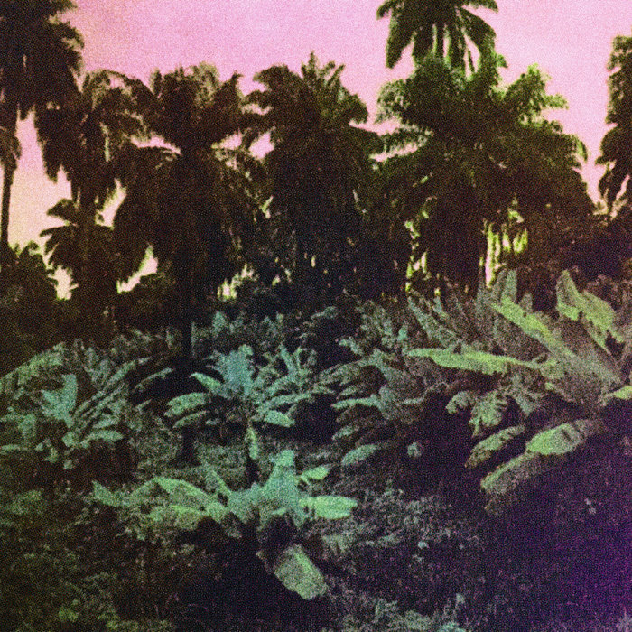 Cuts | The Dead Sound