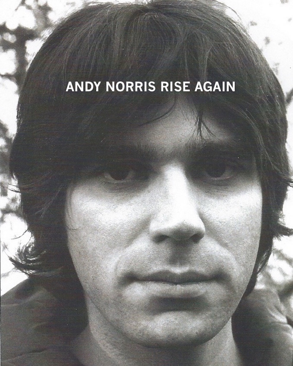 Rise Again | Andy Norris