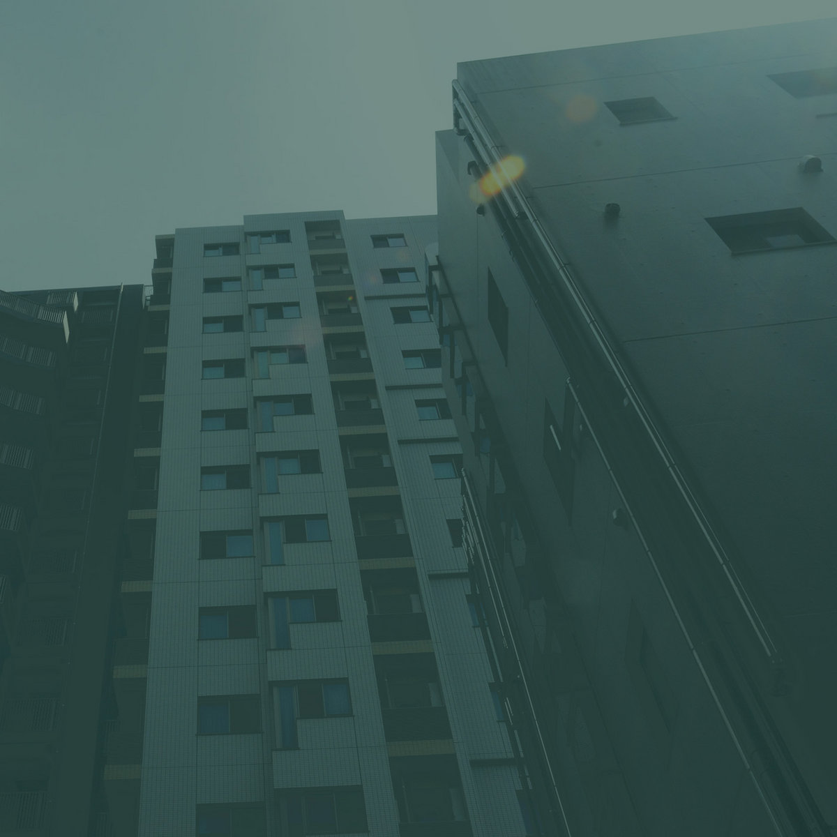 The Lights | Razor Red Noise