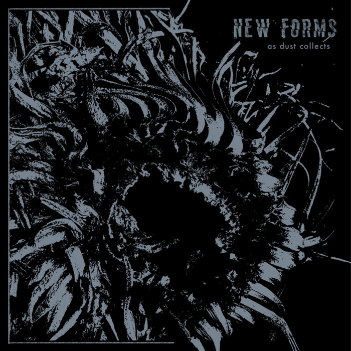 As Dust Collects | New Forms