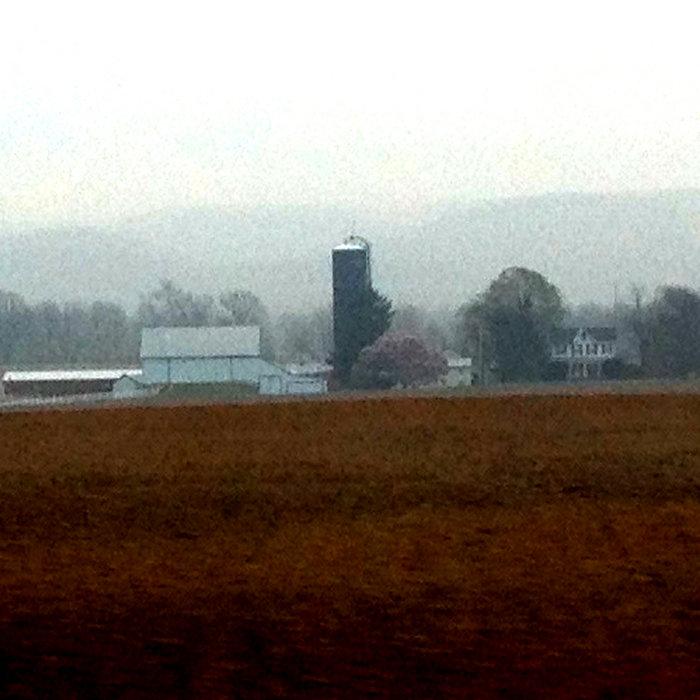 Better Not Ask | Jeff Adamczyk