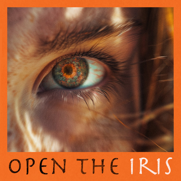Open the Iris | Rod Harrison