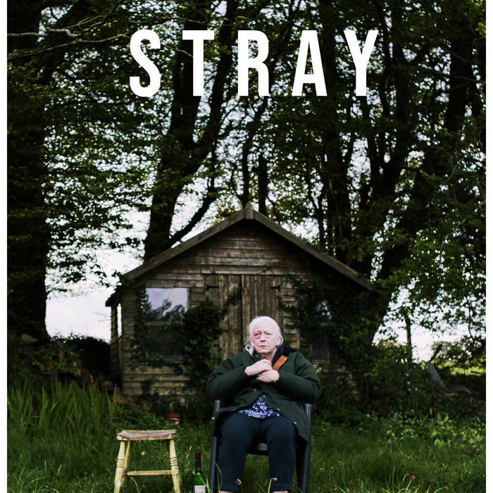 Stray (original soundtrack) | Kim V Porcelli