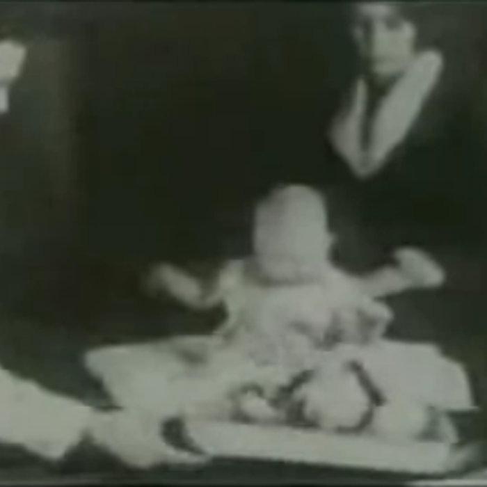 Little Albert | Operant Conditioning