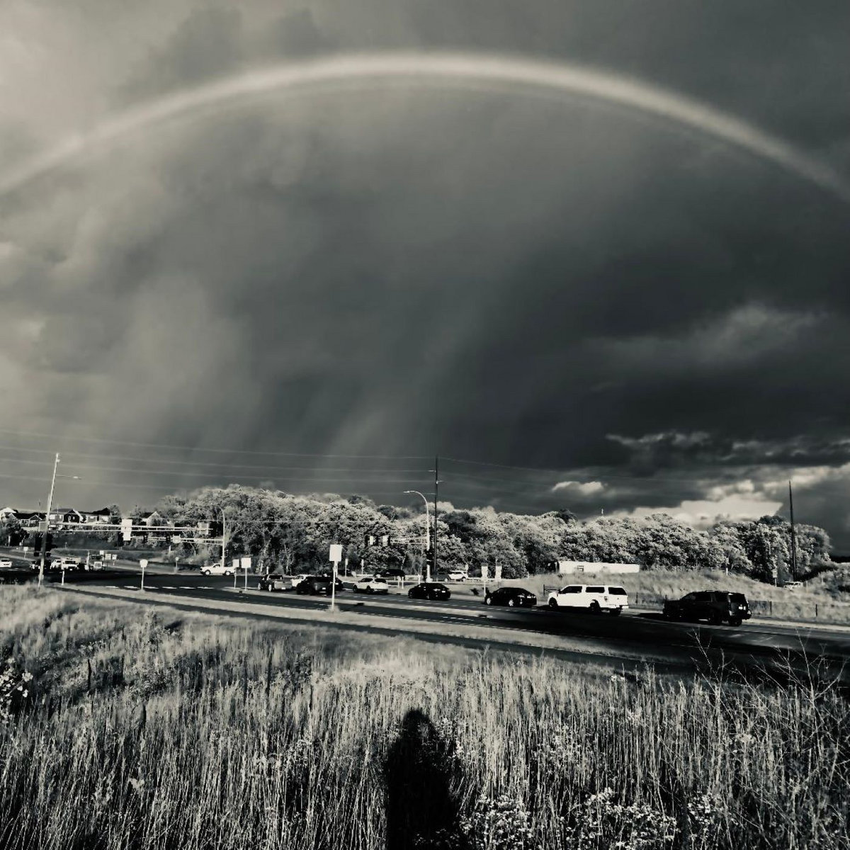 The Problem Lies Elsewhere | T.S. Idiot