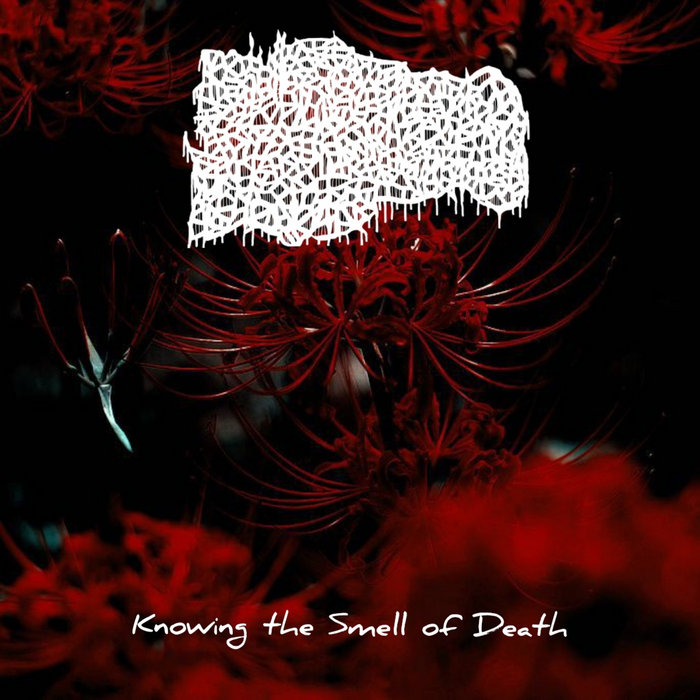 Knowing the Smell of Death | PHYLLOCTOMIASMA OXYNOGENETICS MUTANTS