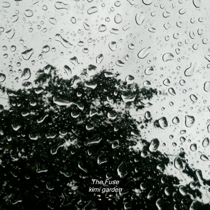 The Fuse (album) | Kimi Garden