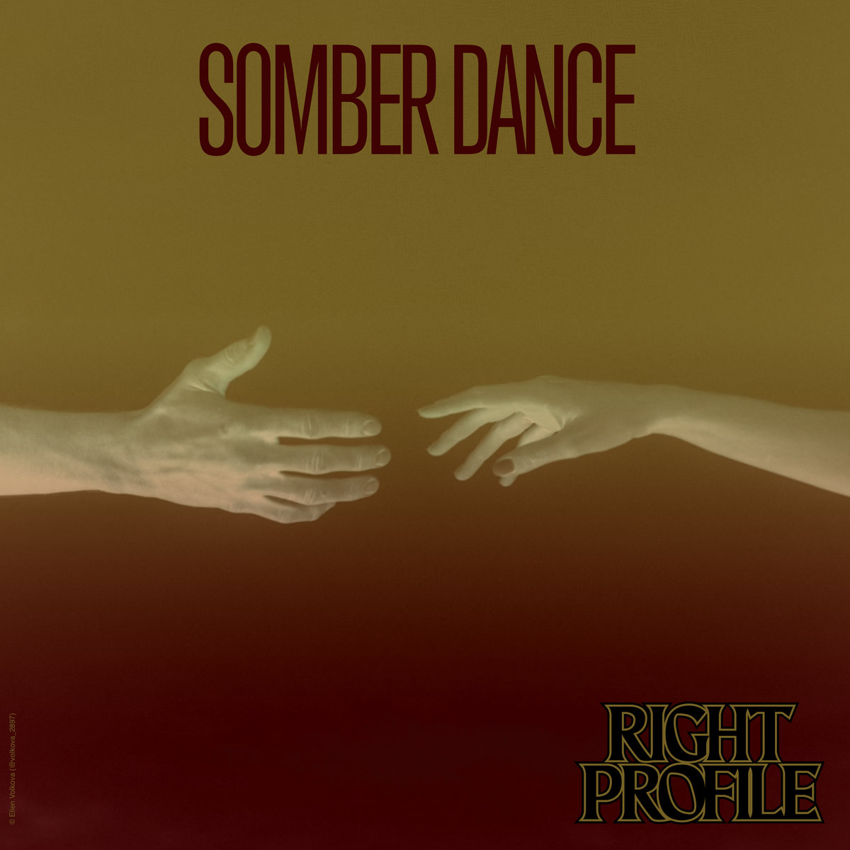 Somber Dance | Right Profile
