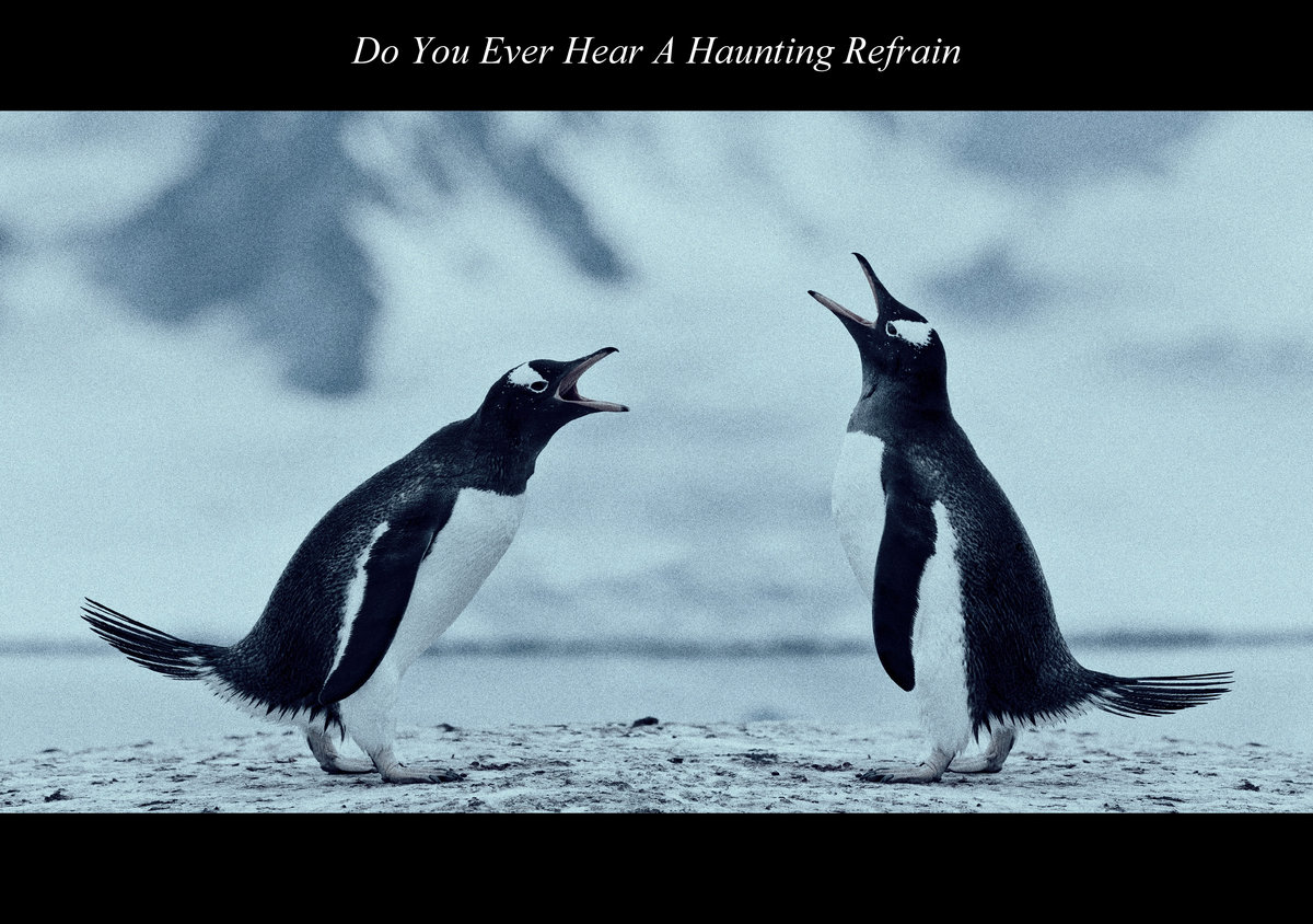 Do You Ever Hear A Haunting Refrain | Magna Frisia