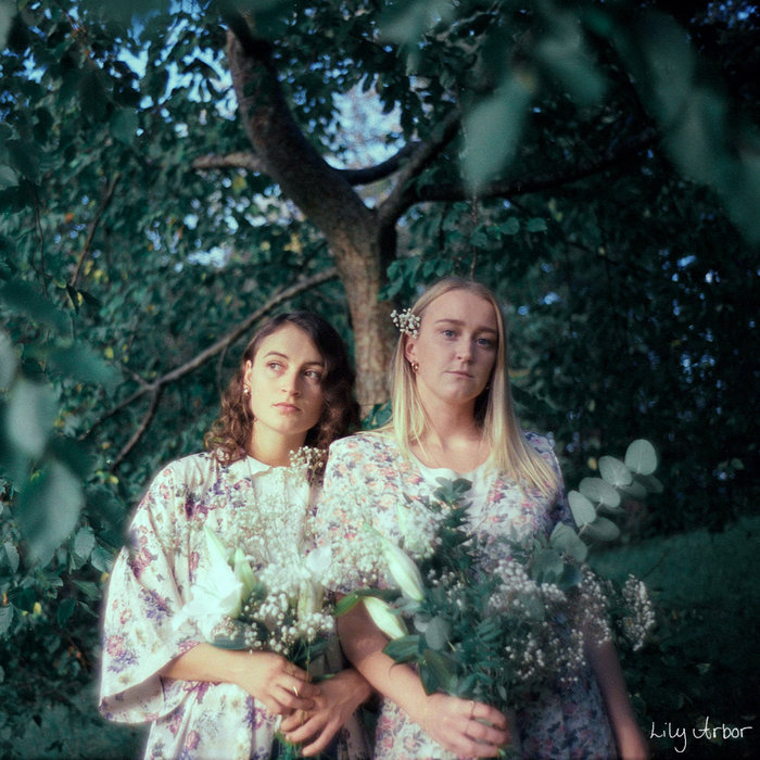 Lily Arbor | Lily Arbor