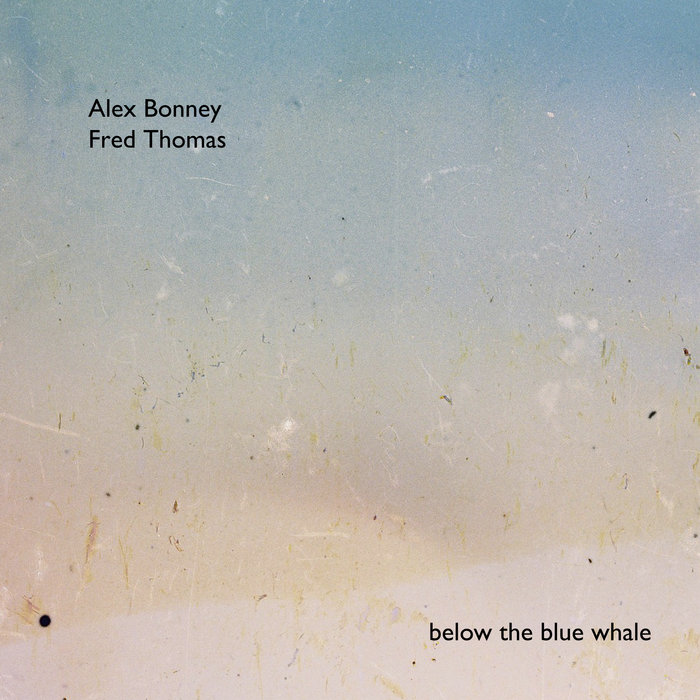 Below the Blue Whale | Alex Bonney & Fred Thomas | Fred Thomas