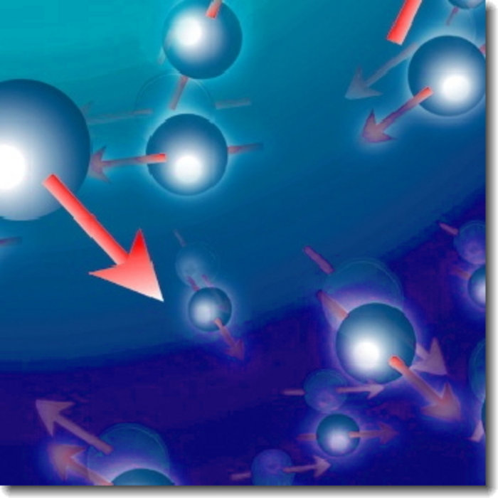 Spin Dynamics | Malcolm Levitt