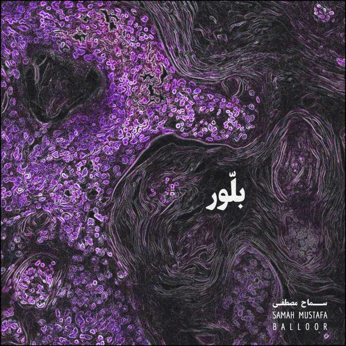 Banat Al Arab | Samah Mustafa