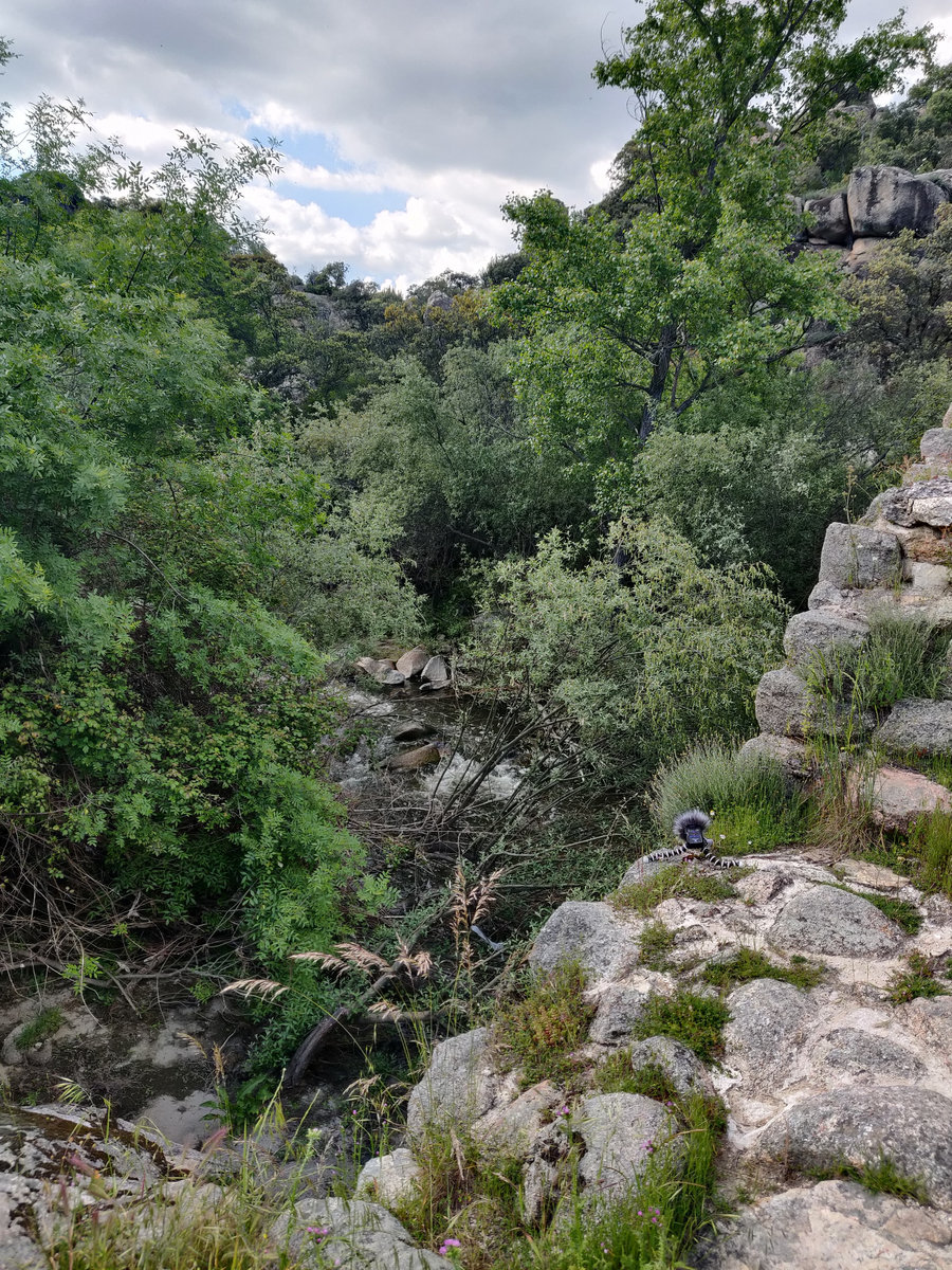 DEMO: Viajes del Agua | Sono Mayrit