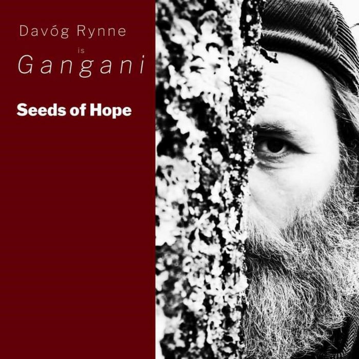 He Stroked My Beard written by Davog Rynne | Davog Rynne