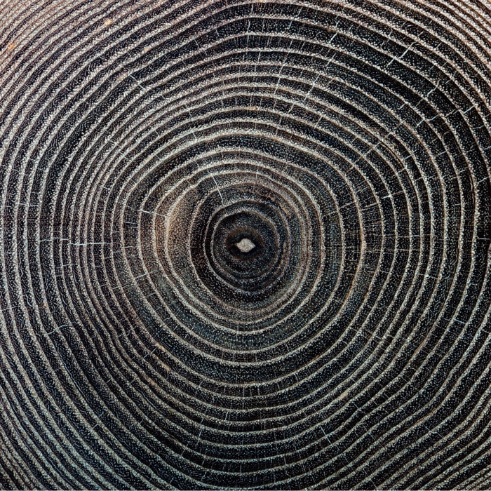 Sacred Rhythm Music Presents: Satori Ep By Roi Azulay (12” Album LP) Including A Vince Watson ...