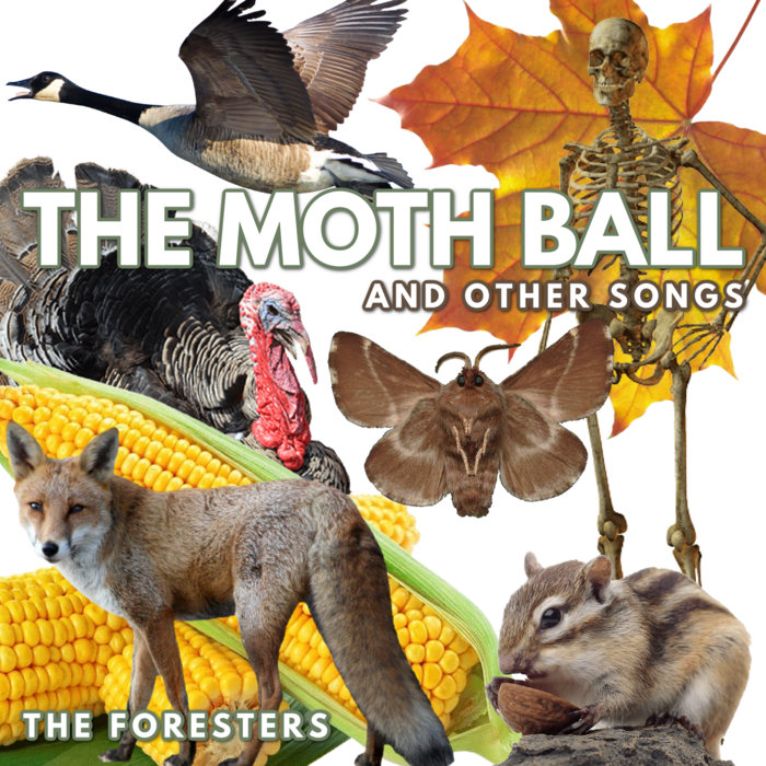 The Moth Ball | The Foresters