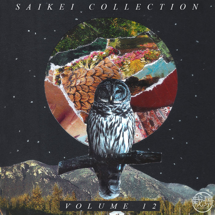 Saikei Collection Vol. 12 | saikei collective