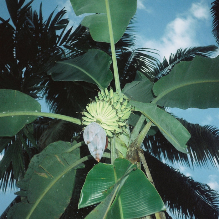 wash over me | Layday