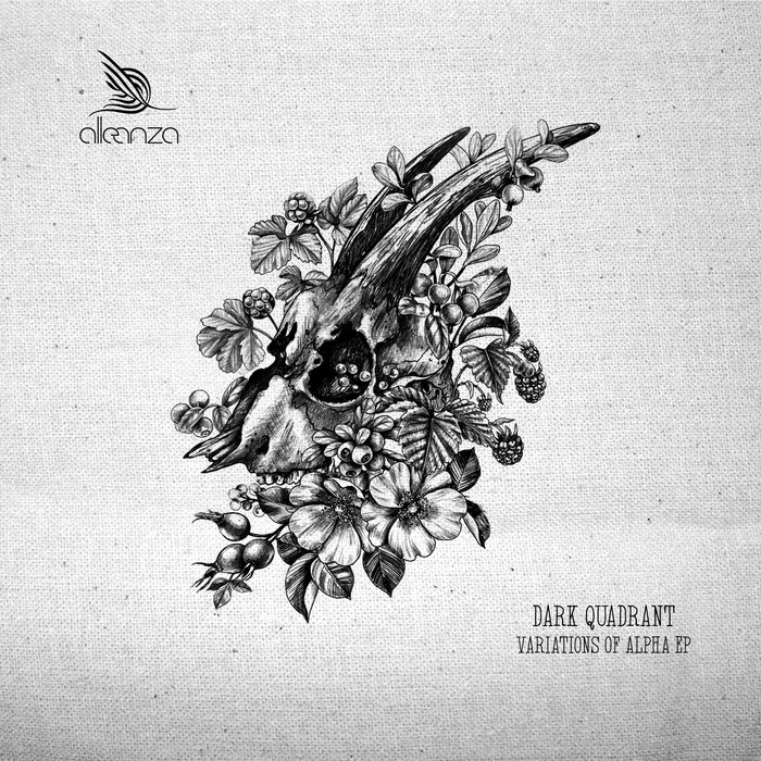 Variations of Alpha EP | Dark Quadrant | Alleanza Recordings