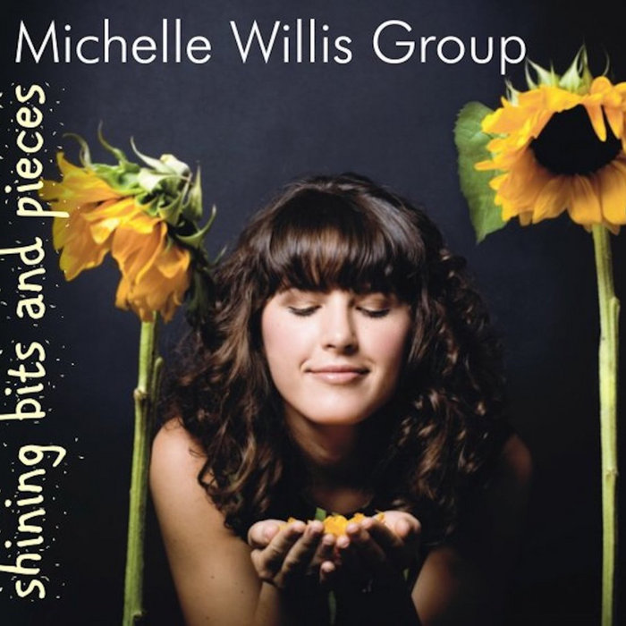 Shining Bits & Pieces | Michelle Willis