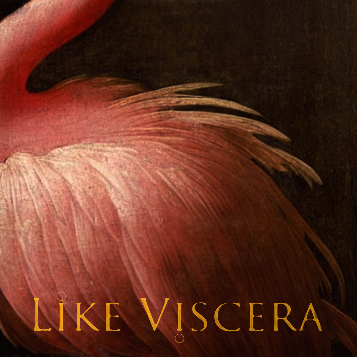 Like Viscera | Esseker